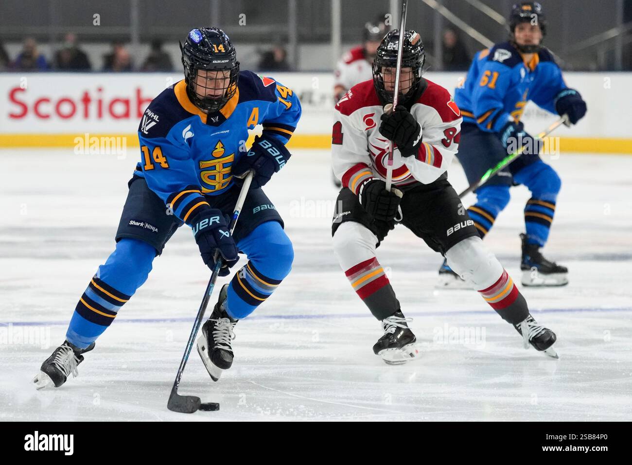 Toronto, Canada. 01st Feb, 2025. Toronto Sceptres‚Äô Renata Fast (14 ...
