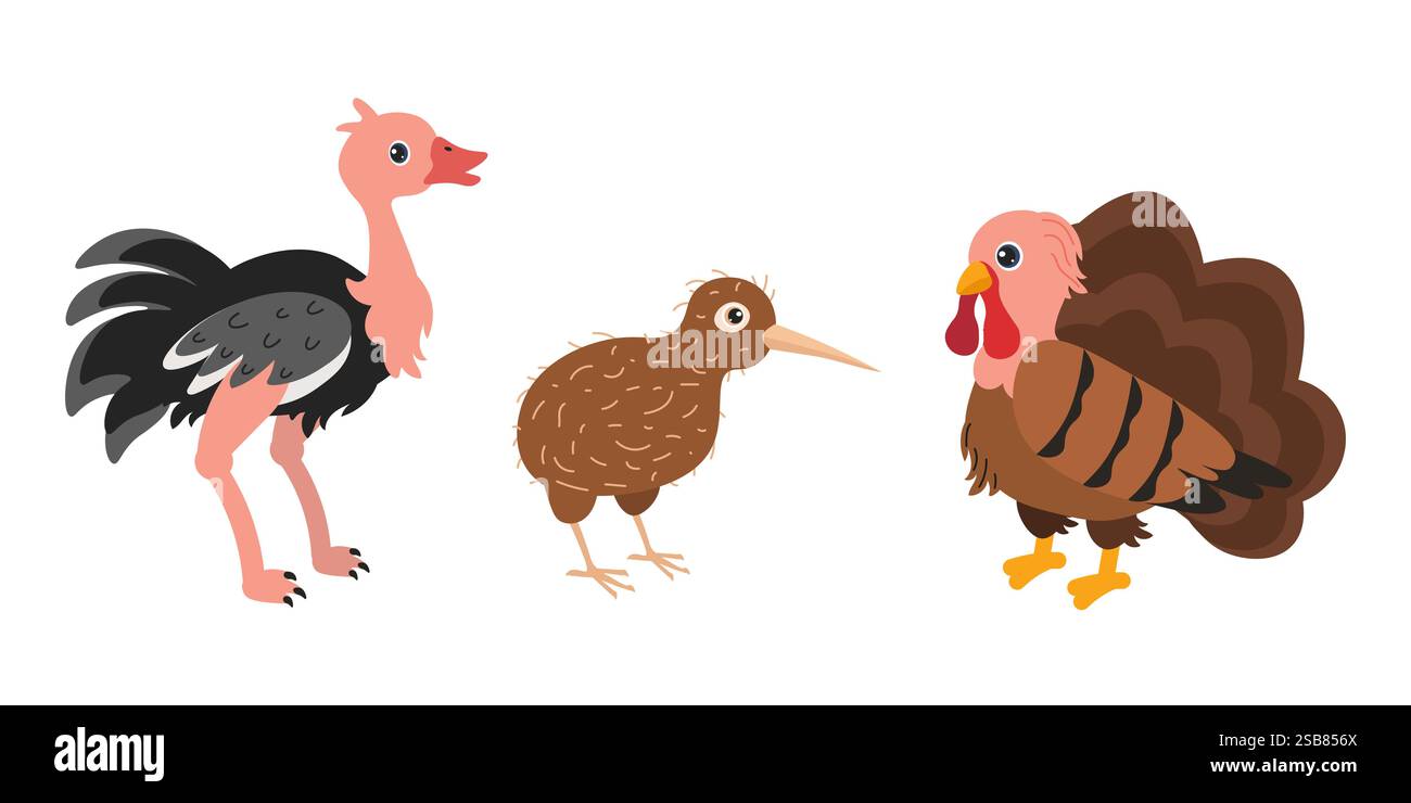 Colorful cartoon representations of diverse birds including an ostrich ...