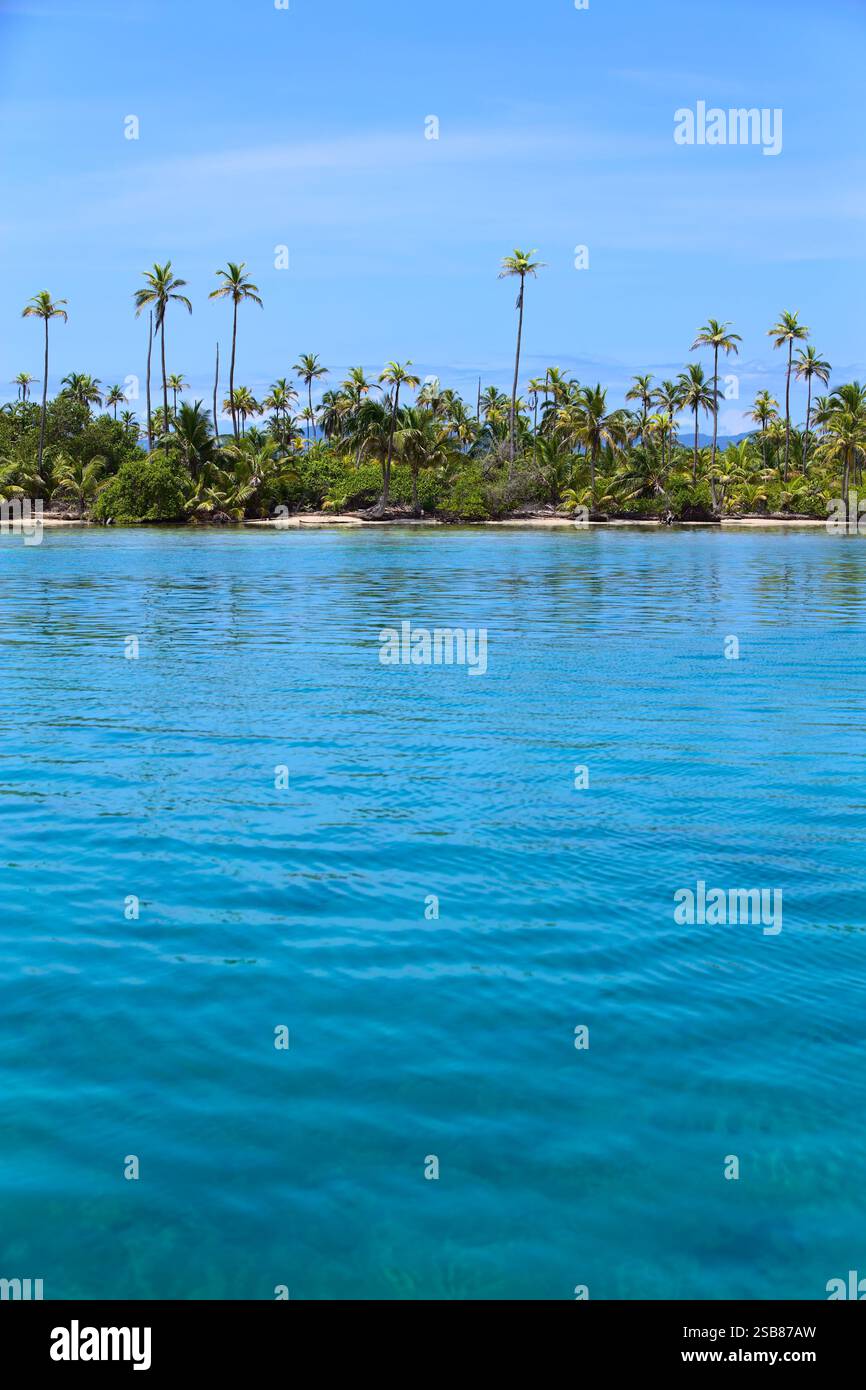 An island overgrown by coconut palm trees and mangroves in the San Blas ...