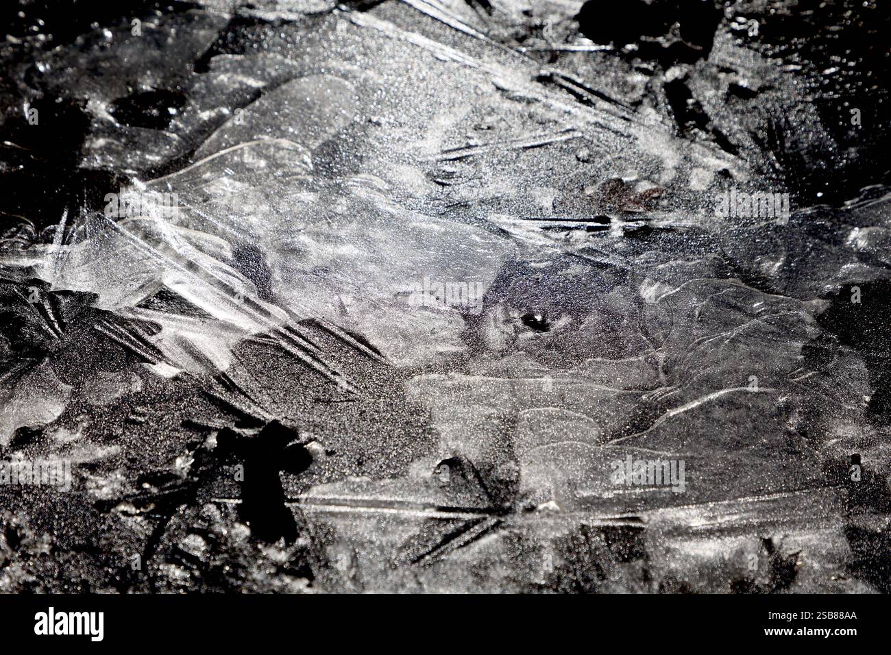 Winterliche Eisstrukturen Eisstrukturen bei moderaten Frösten, die sich ...