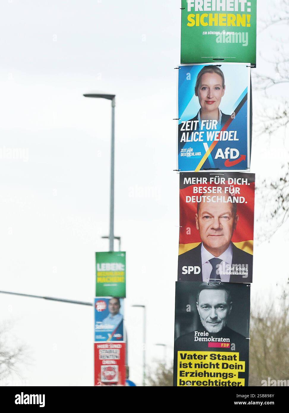 Wahlplakate 30.01.2025, Soemmerda, Wahlplakate zur Bundestagswahl ...