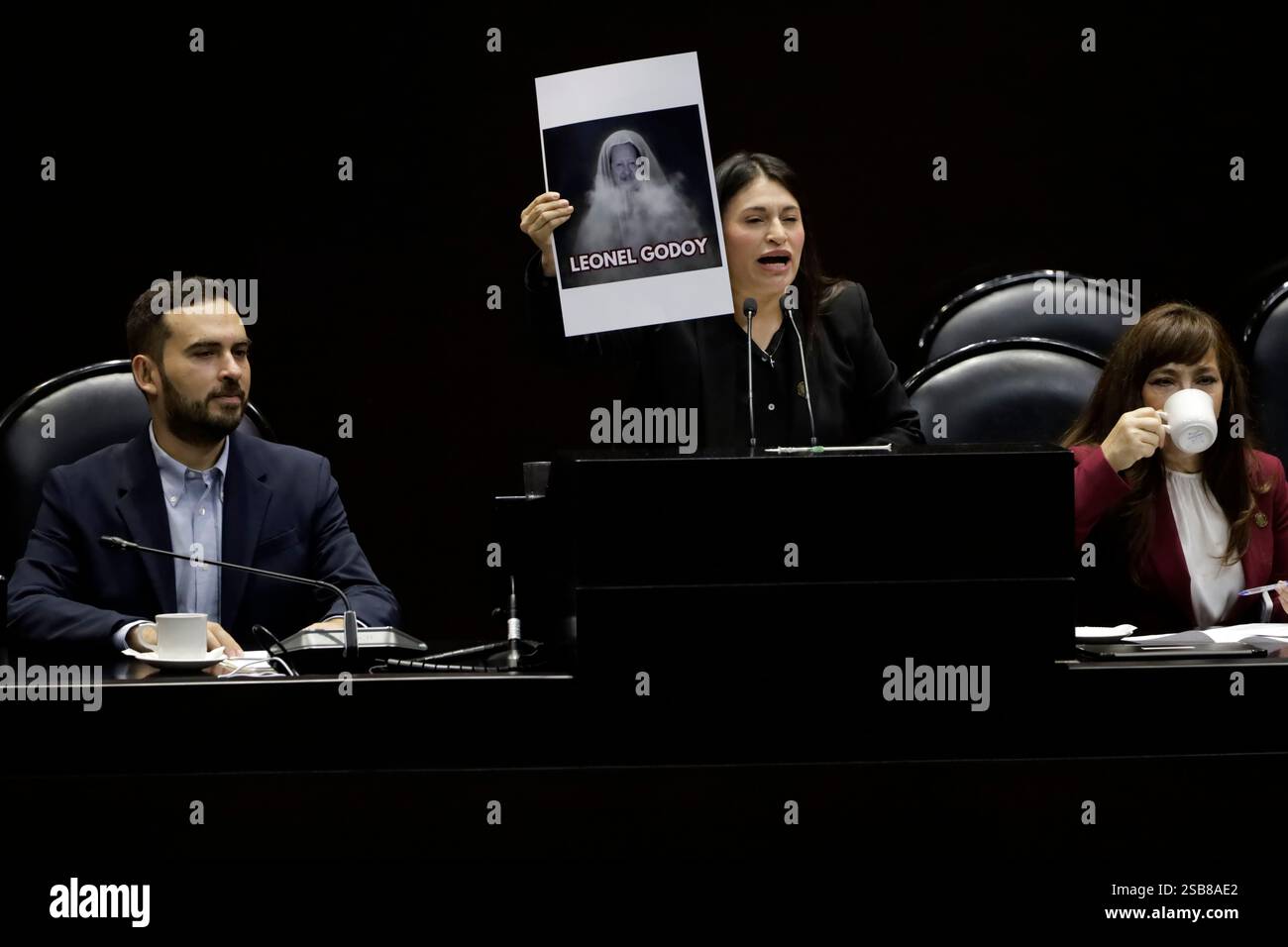 Federal Deputy, Carmen Rocio Gonzalez Alonso speaking during the ...