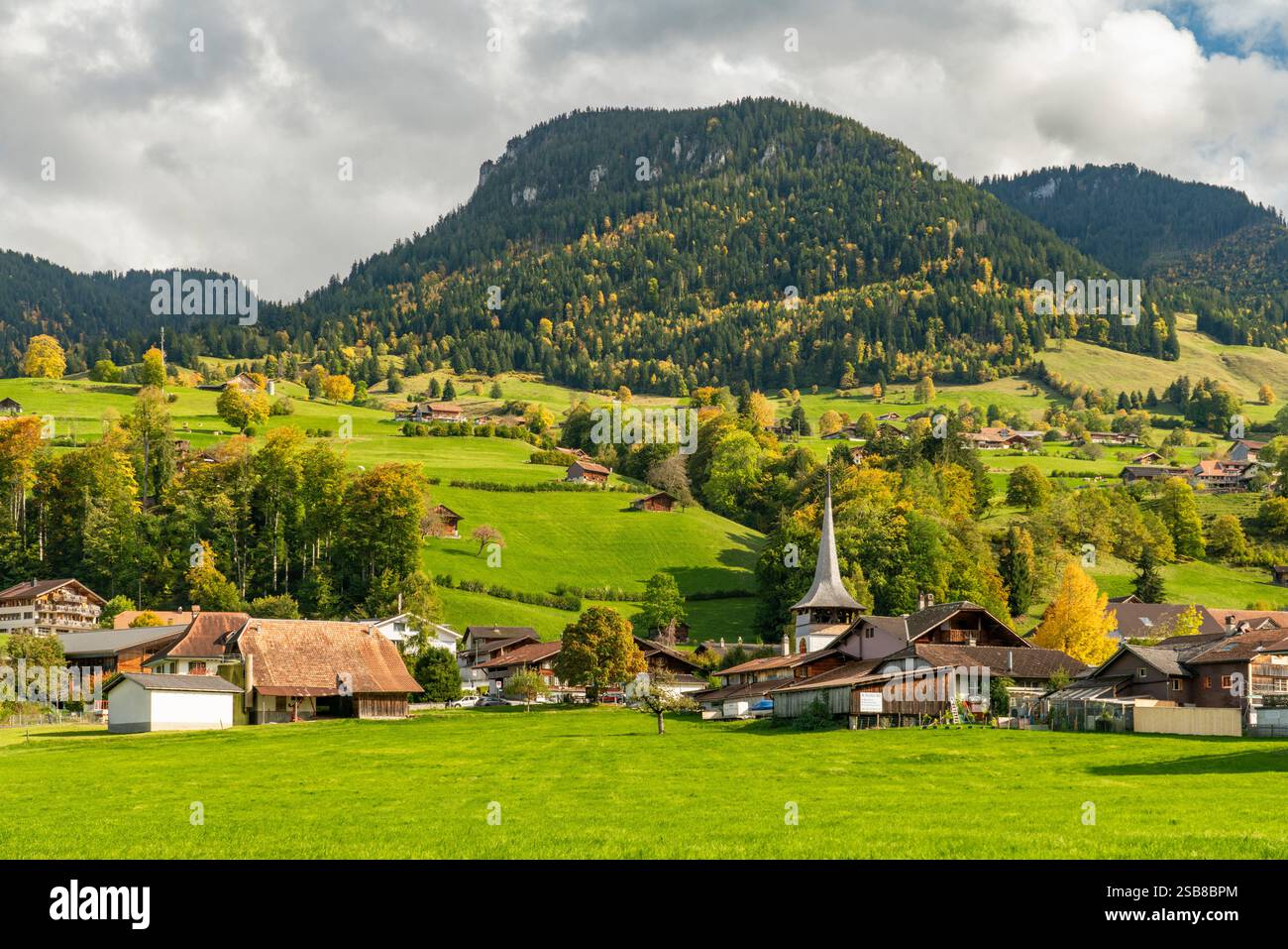 Green meadows at the Swiss village of Reichenbach, Switzerland, Europe ...