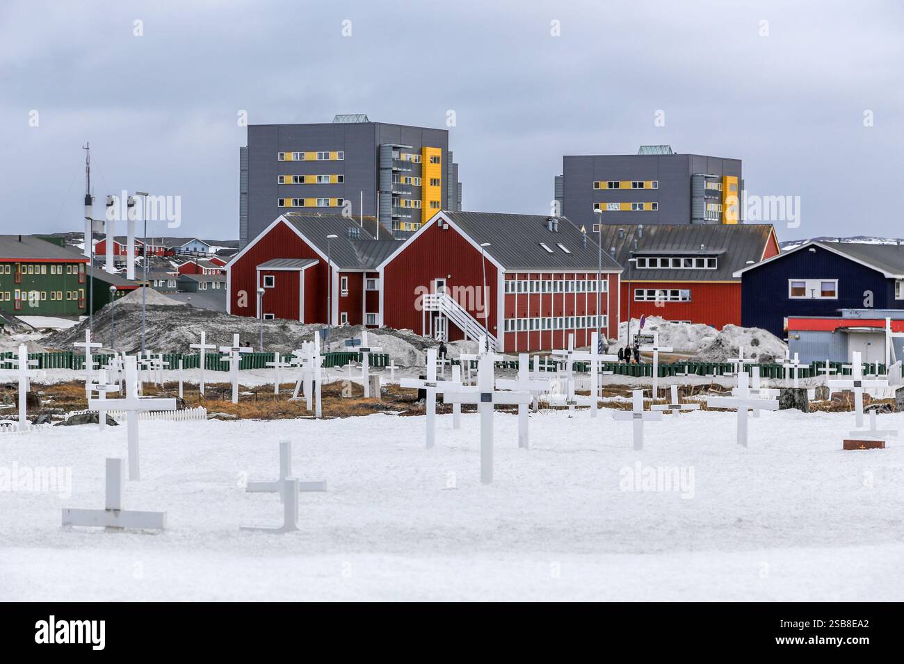 Inuit cemetery with white crosses in Nuuk city center with building in ...