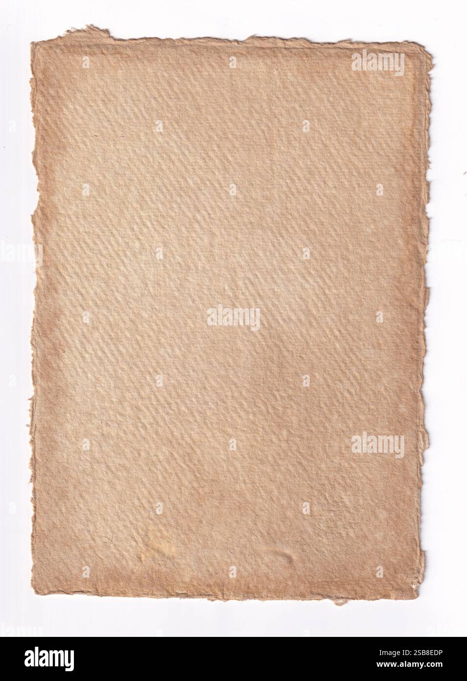 Deckled edged antique stained paper. Blank manuscript for graphics and ...