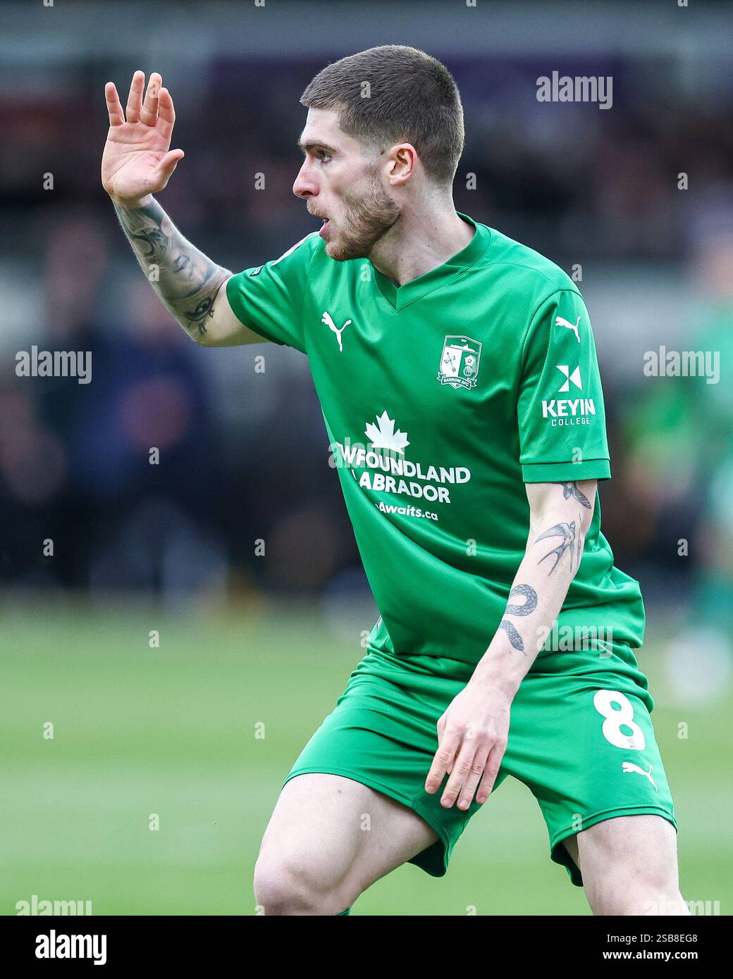Newport, UK. 1st Feb 2025. #8, Kian Spence of Barrow AFC during the Sky ...