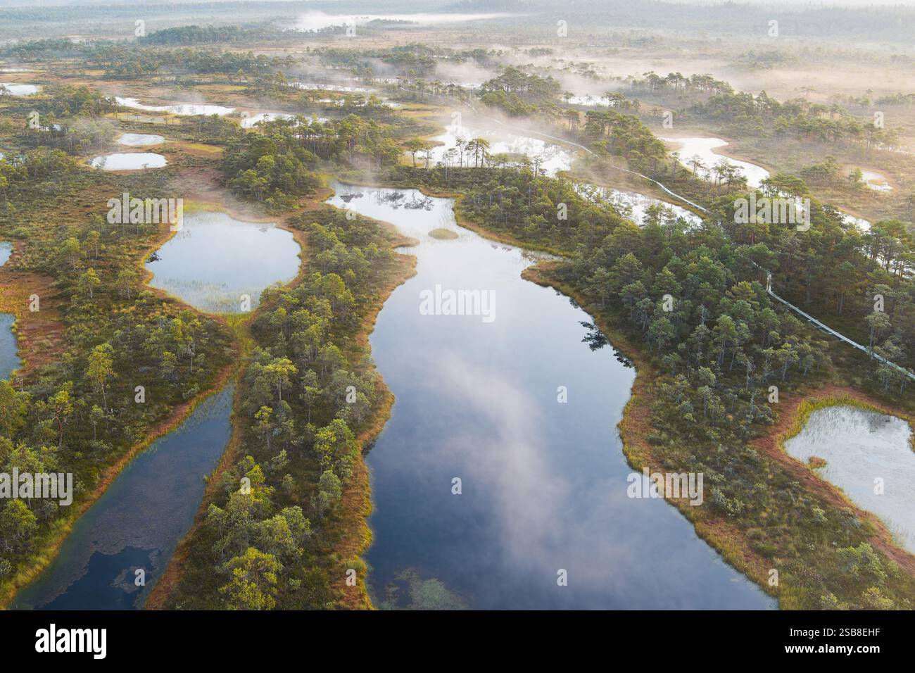 Mysterious labyrinth: a drone's eye view of a misty bog in Estonia ...