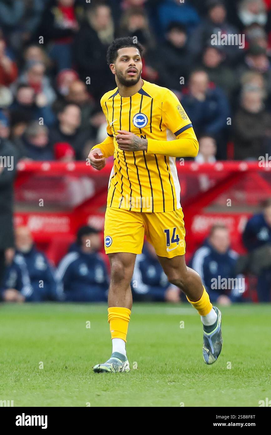 Nottingham, UK. 01st Feb, 2025. Georginio Rutter Of Brighton & Hove ...