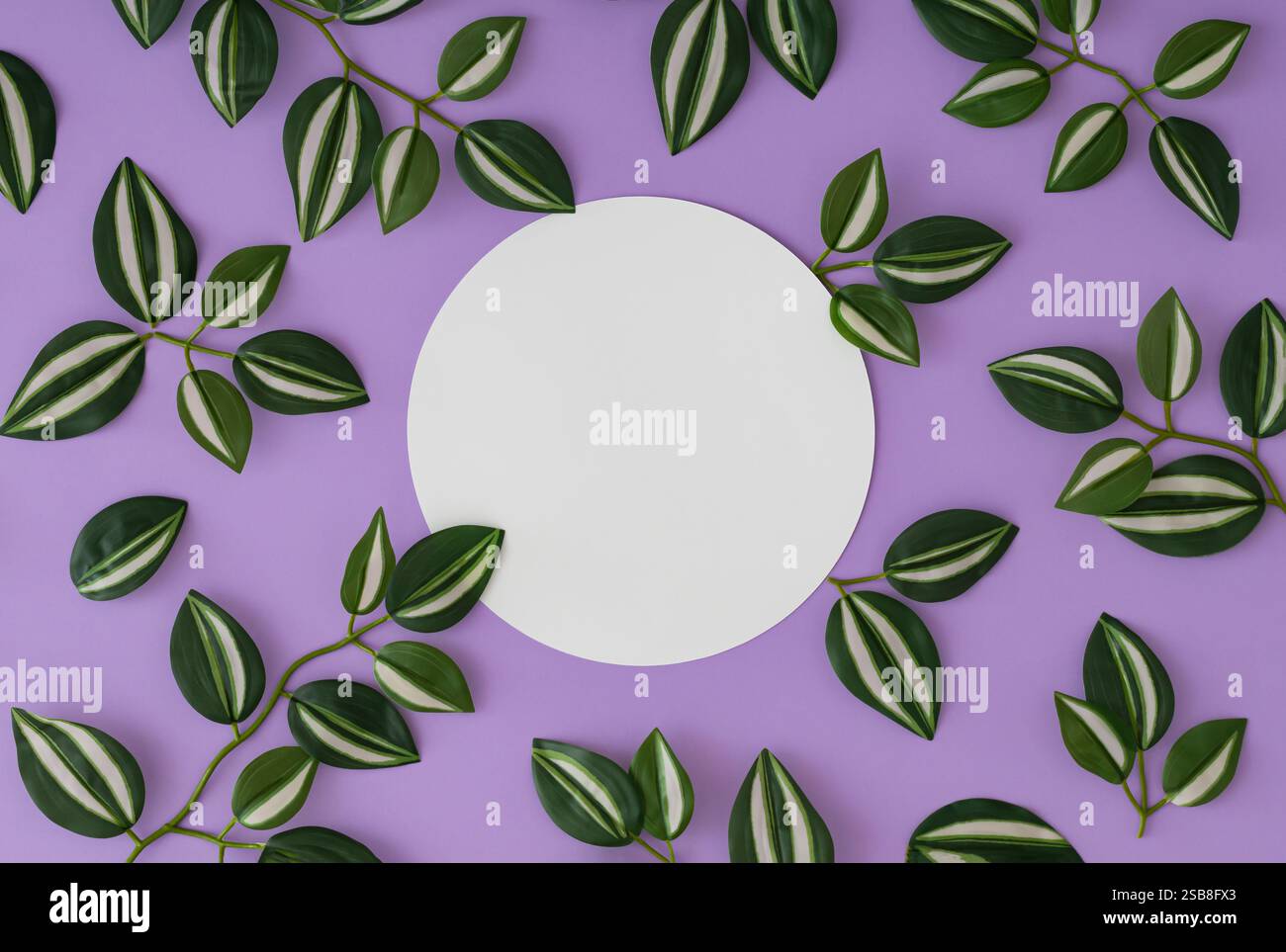 Spring and summer pattern composition made with green and white leaves ...