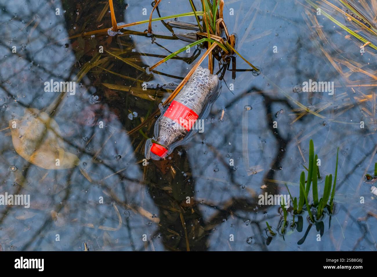 A bottle of Coca Cola is floating in a body of water. The bottle is ...