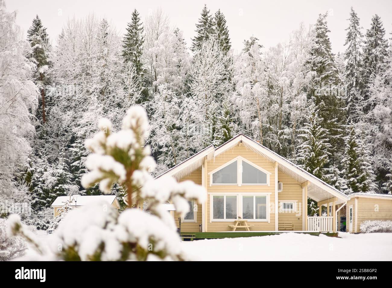 beautiful country house in a snowy pine forest, night lighting, winter ...