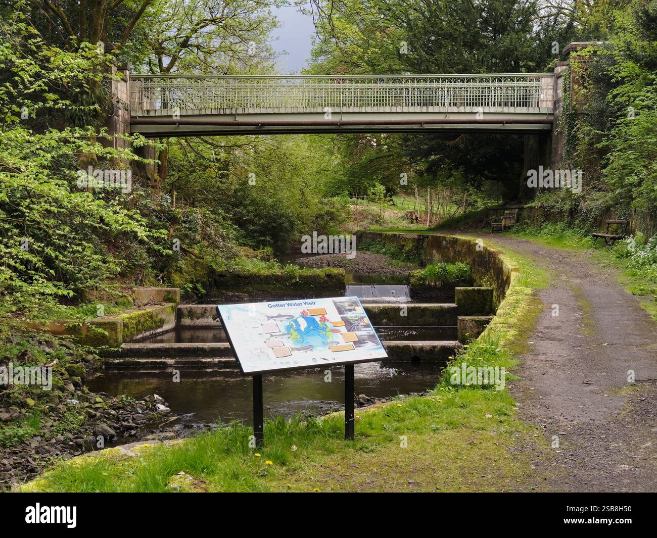 River Gryfe fast flowing due to high water level Stock Photo - Alamy