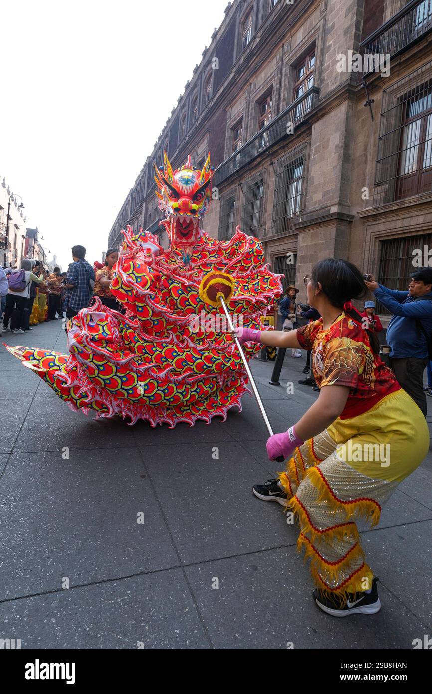 Mexico City, Mexico. 1st Feb, 2025. Parade of lions and dragons that ...