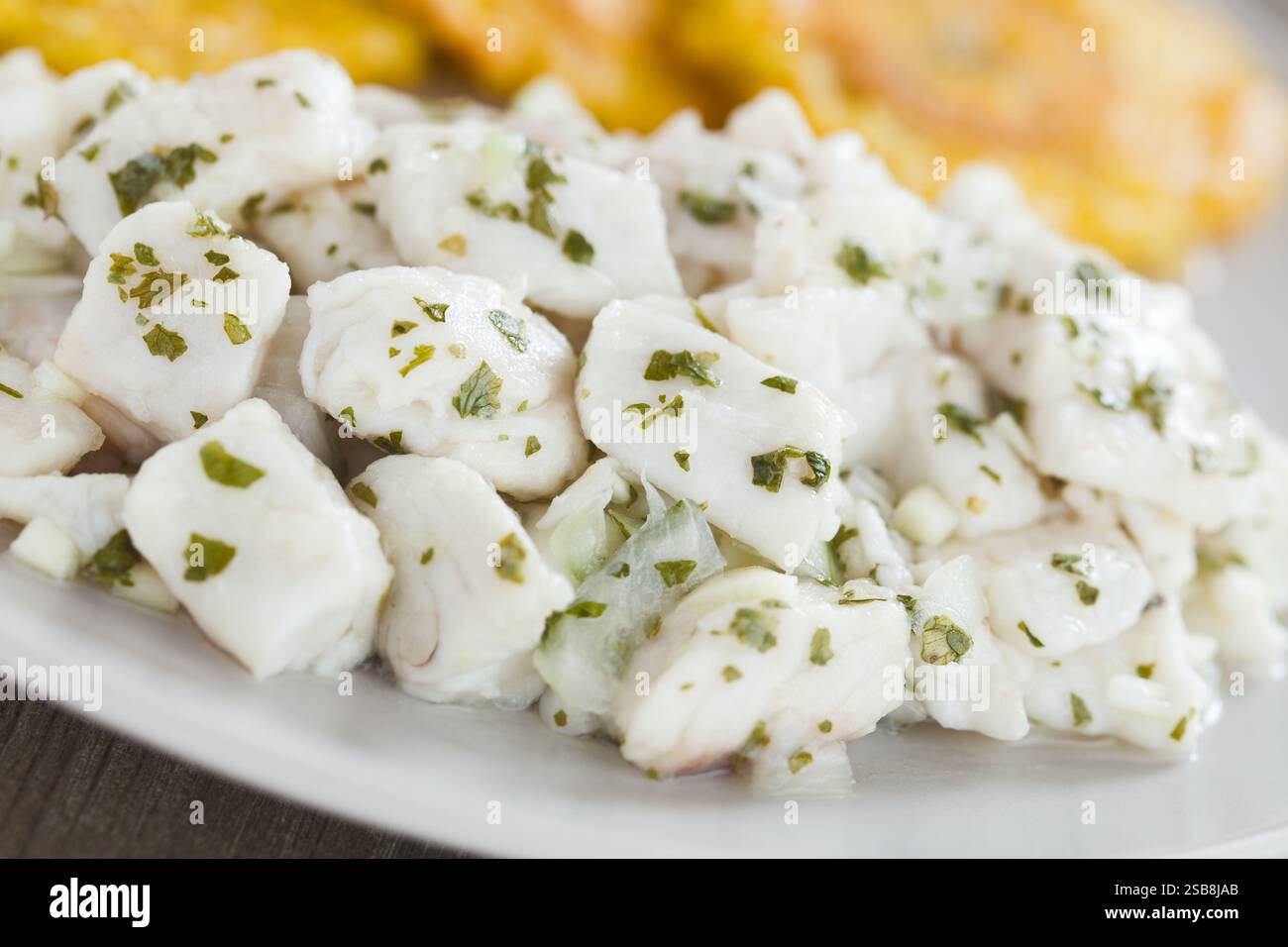 Fresh homemade ceviche made of raw fish pieces, onion, garlic, lime ...