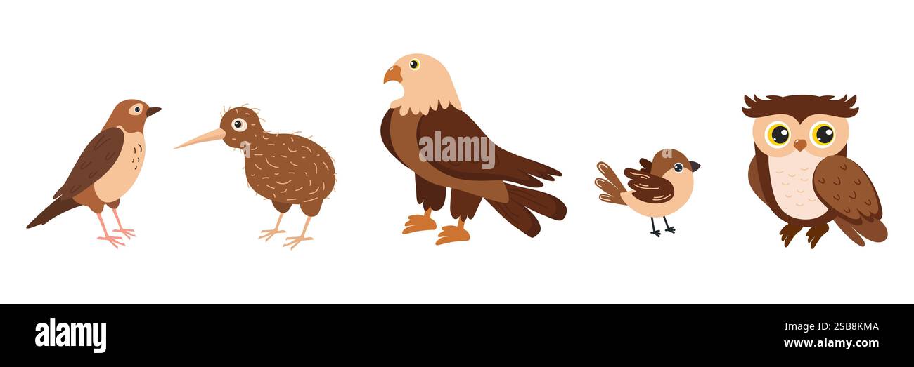 Species characteristics Stock Vector Images - Alamy
