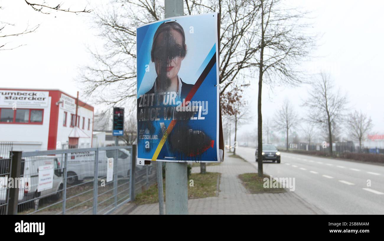 Ein Wahlplakat der Partei Alternative für Deutschland AFD mit dem ...