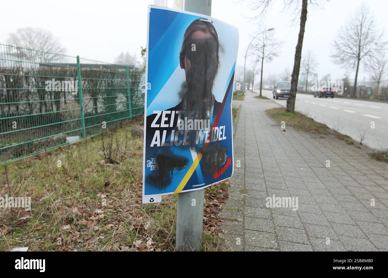 Ein Wahlplakat der Partei Alternative für Deutschland AFD mit dem ...