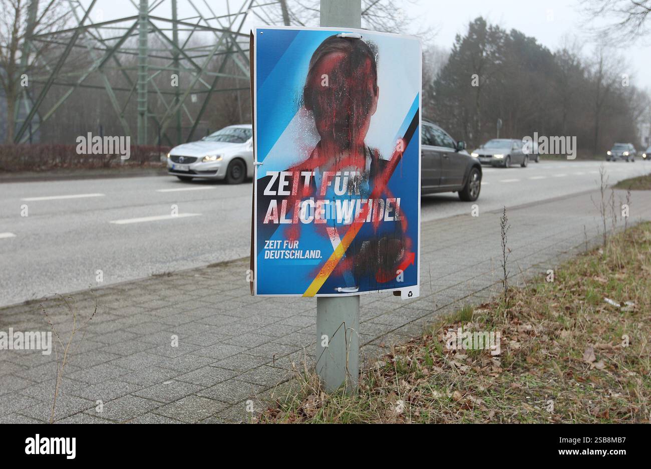 Ein Wahlplakat der Partei Alternative für Deutschland AFD mit dem ...