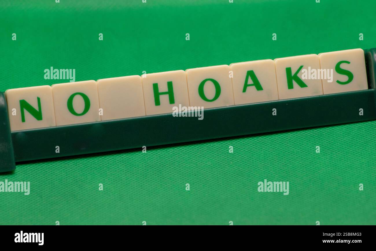 Photograph illustration, capital letter wording "No Hoax", no more ...