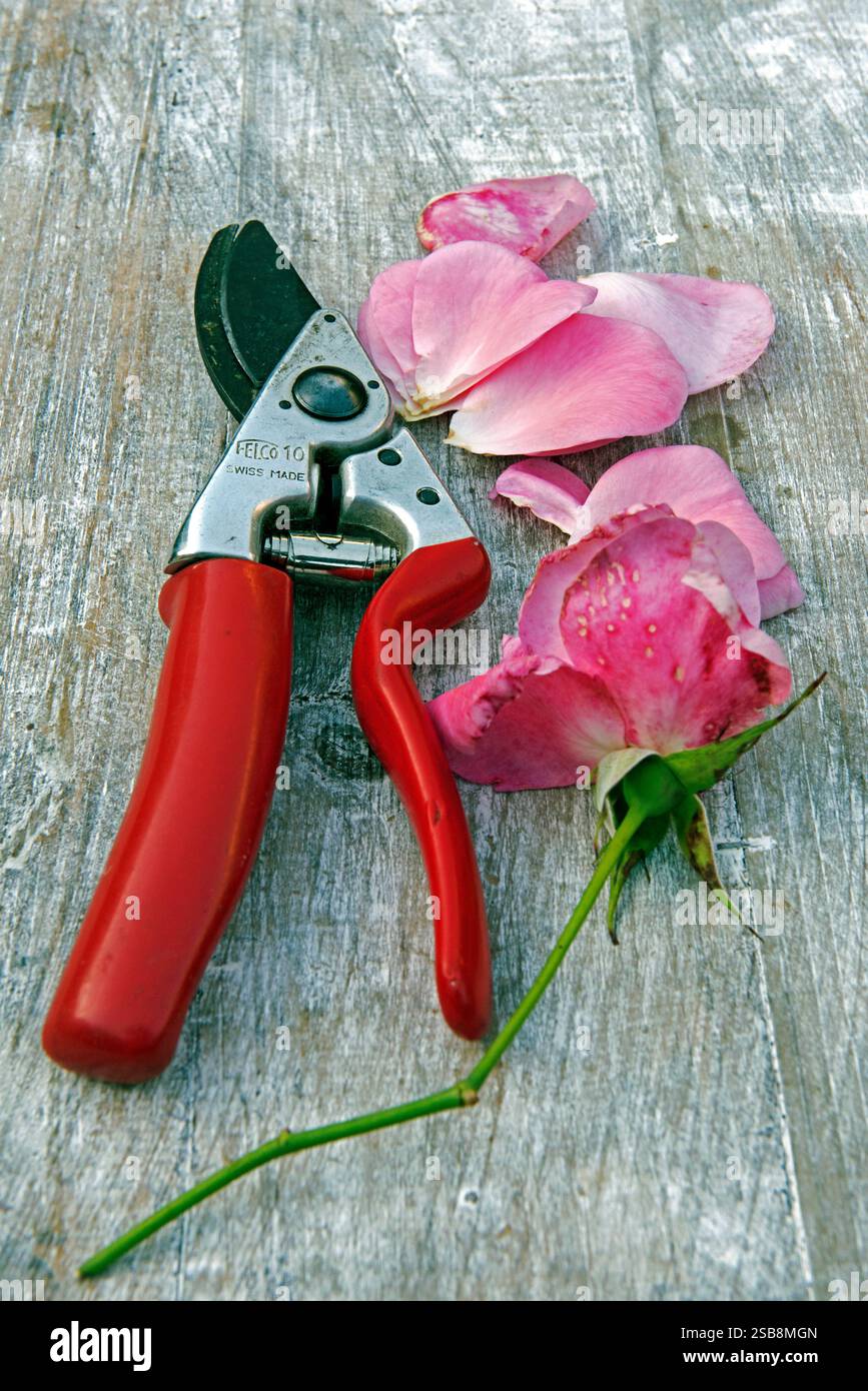 Left handed table hi-res stock photography and images - Alamy