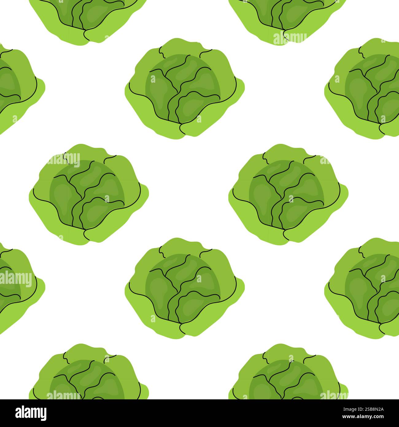 Vibrant green cabbage pattern on a crisp white background showcasing ...