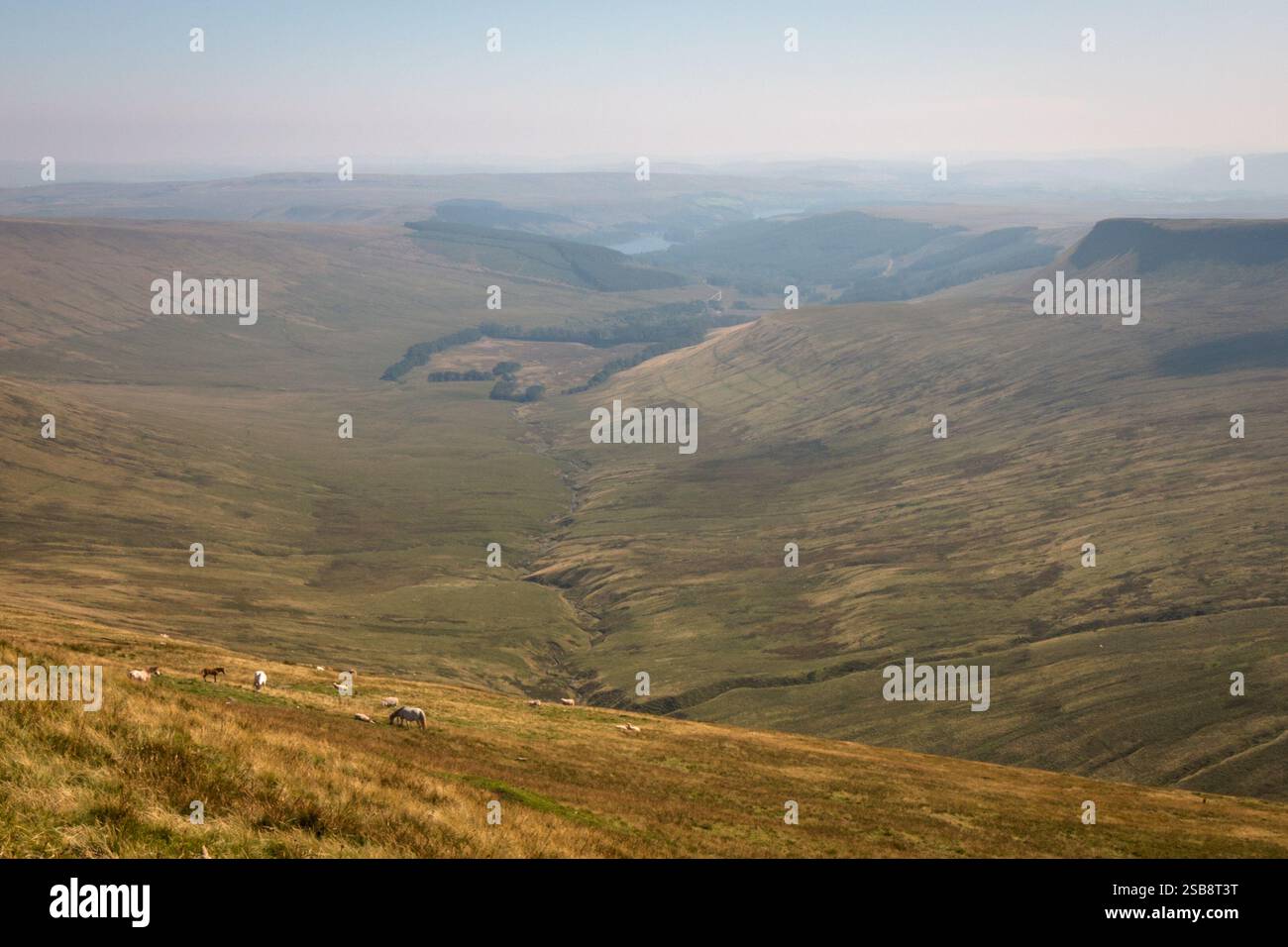 Views from the Brecon Beacons National Park, Wales Stock Photo - Alamy