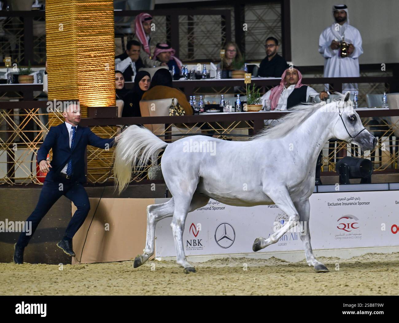 KATARA INTERNATIONAL ARABIAN HORSE FESTIVAL KIAHF 2025 Talal Al Waab, owned by Abdulla Mohammed ...