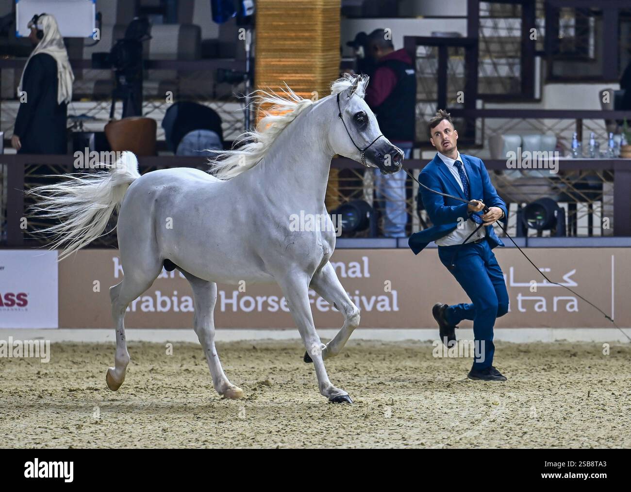 KATARA INTERNATIONAL ARABIAN HORSE FESTIVAL KIAHF 2025 Shehab Al Farres ...