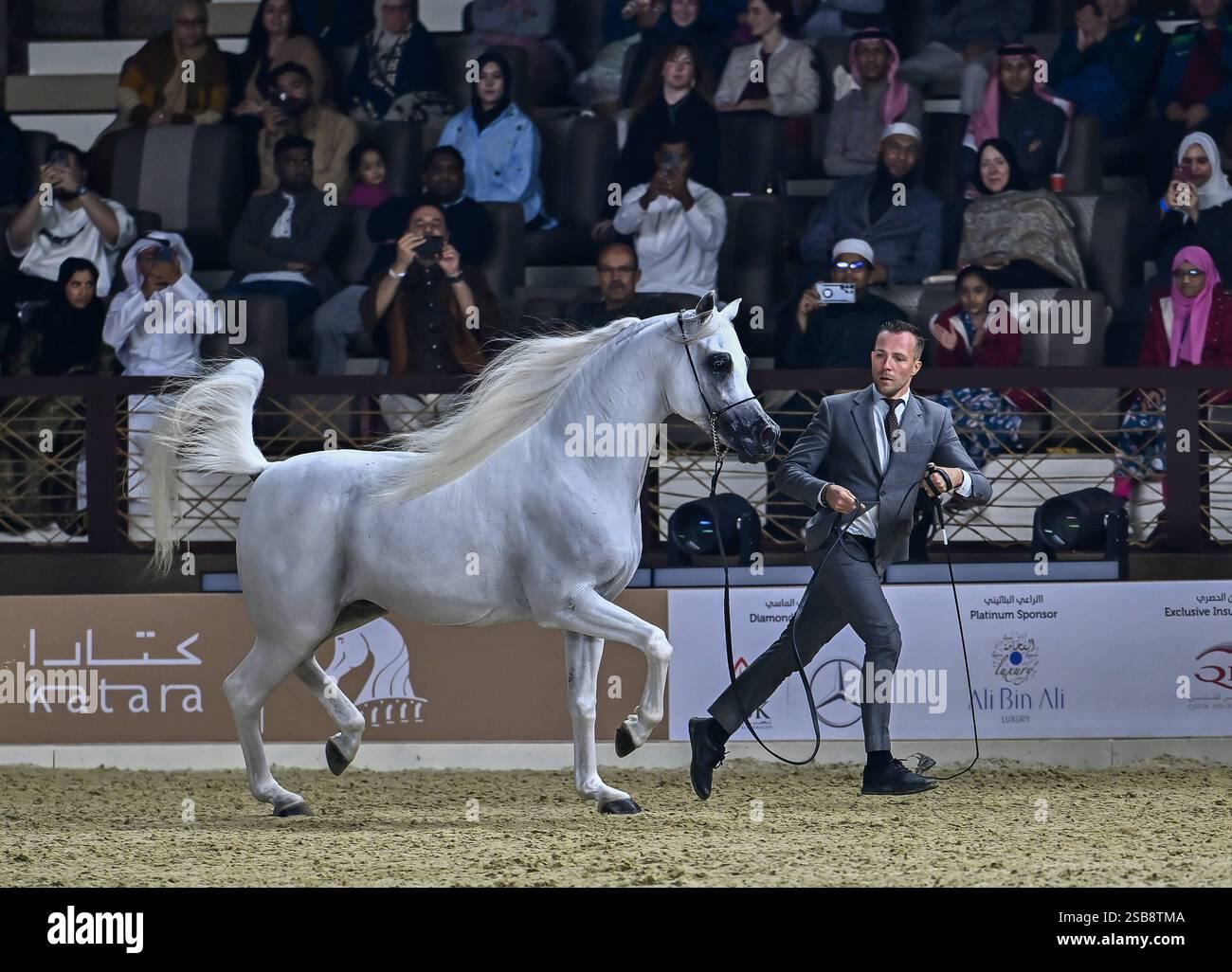 KATARA INTERNATIONAL ARABIAN HORSE FESTIVAL KIAHF 2025 RB SUHAIL, owned ...
