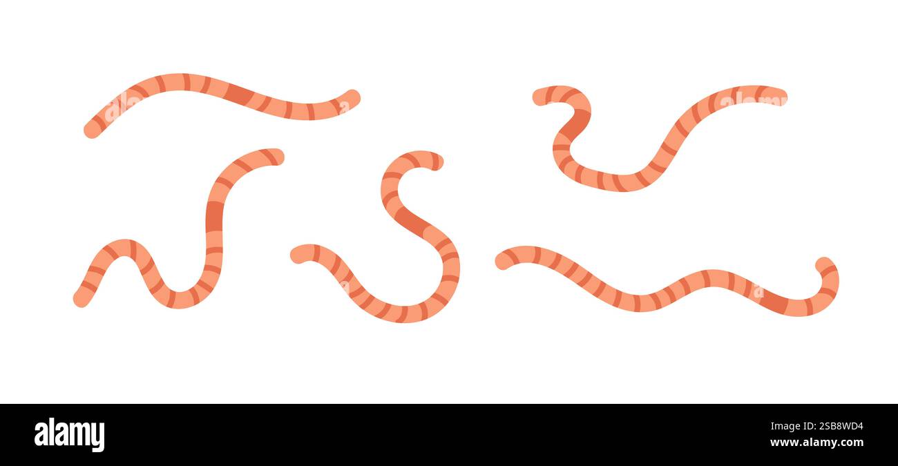 Colorful cartoon worms in various playful shapes on a white background ...