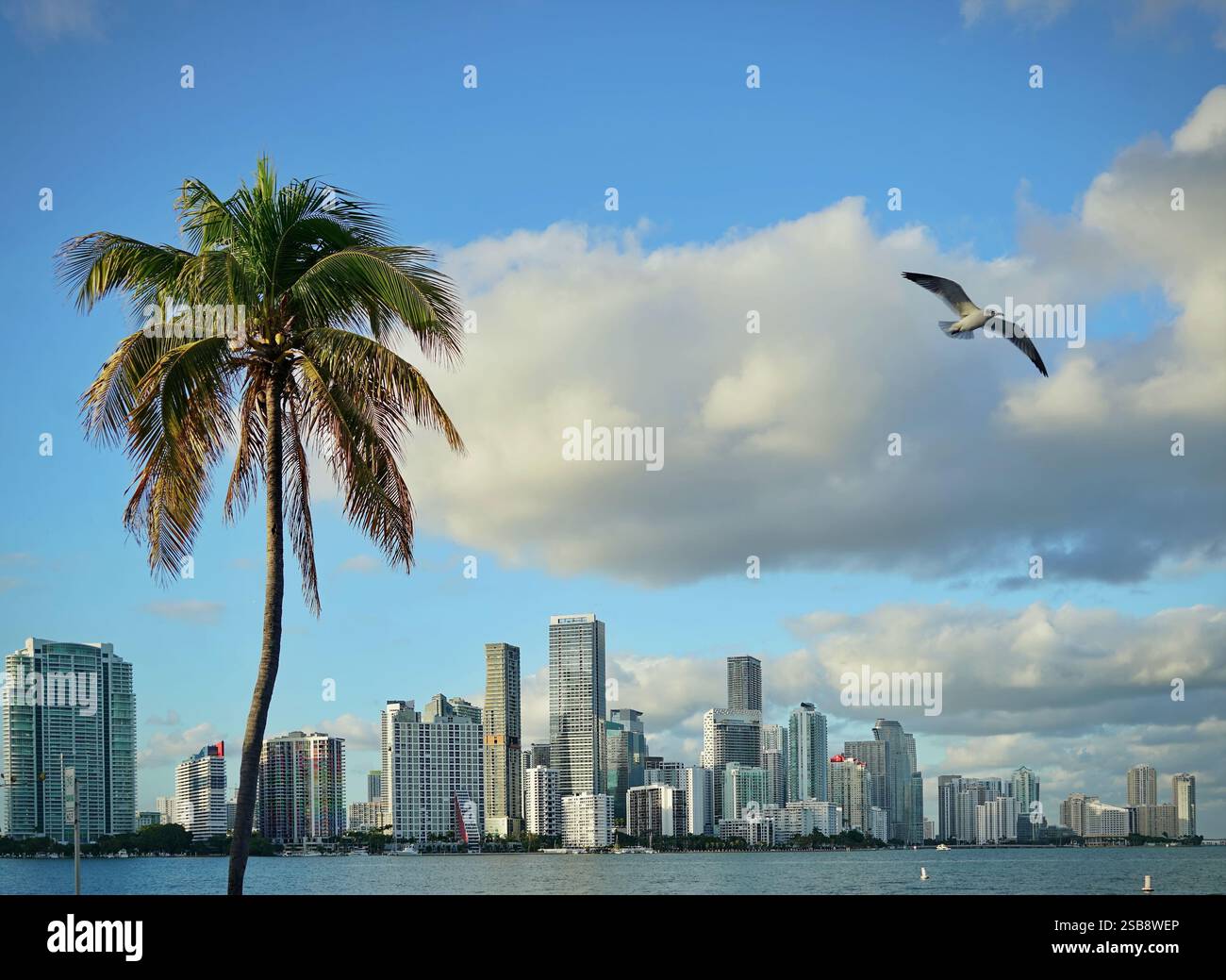 View of the Miami skyline at sunset from Biscayne Bay. Miami, Florida ...