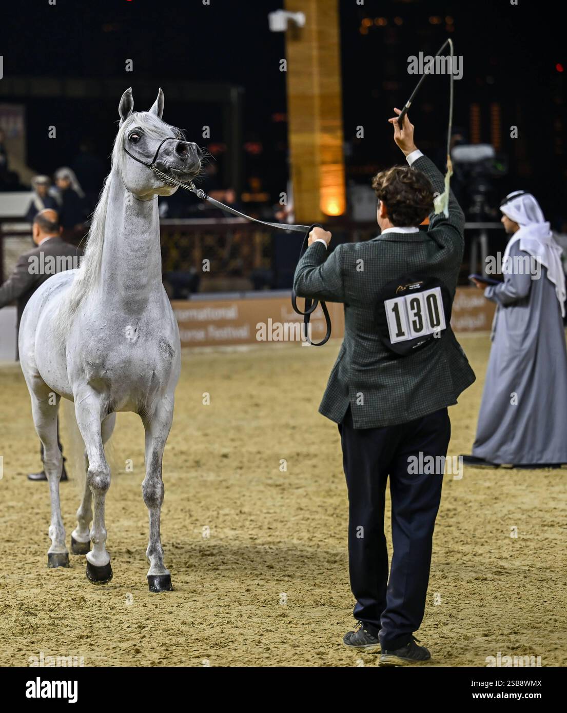 KATARA INTERNATIONAL ARABIAN HORSE FESTIVAL KIAHF 2025 Basheer Al Waab ...