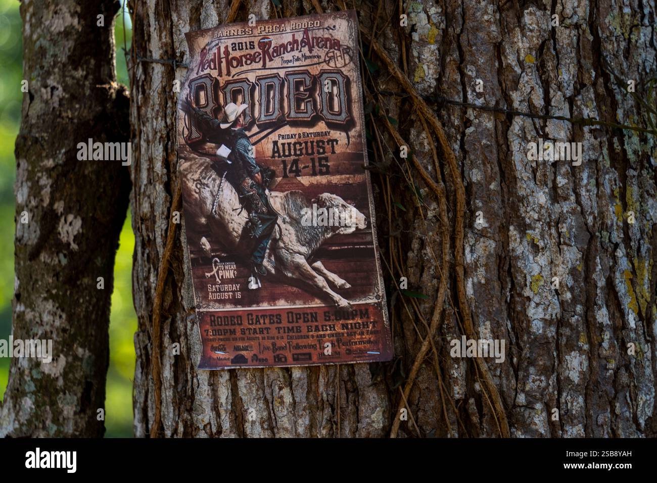 A rodeo poster hangs on a tree during a Wild West "theme party ...