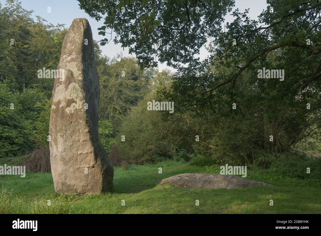 Menhir of Pergat in louargat Stock Photo - Alamy