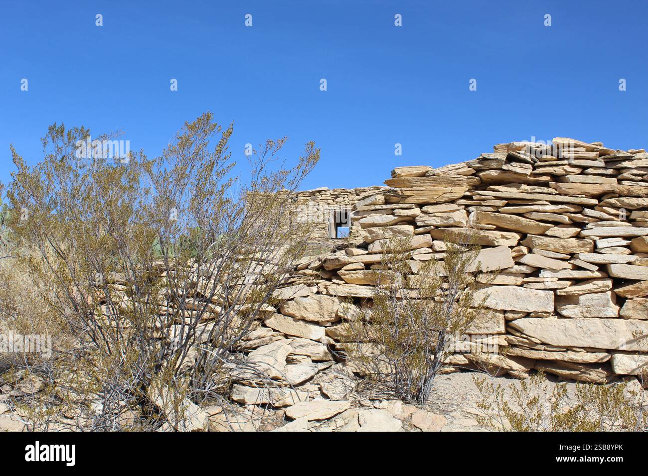 Bushes in front of an abandoned stone home at the Terlingua mining ...