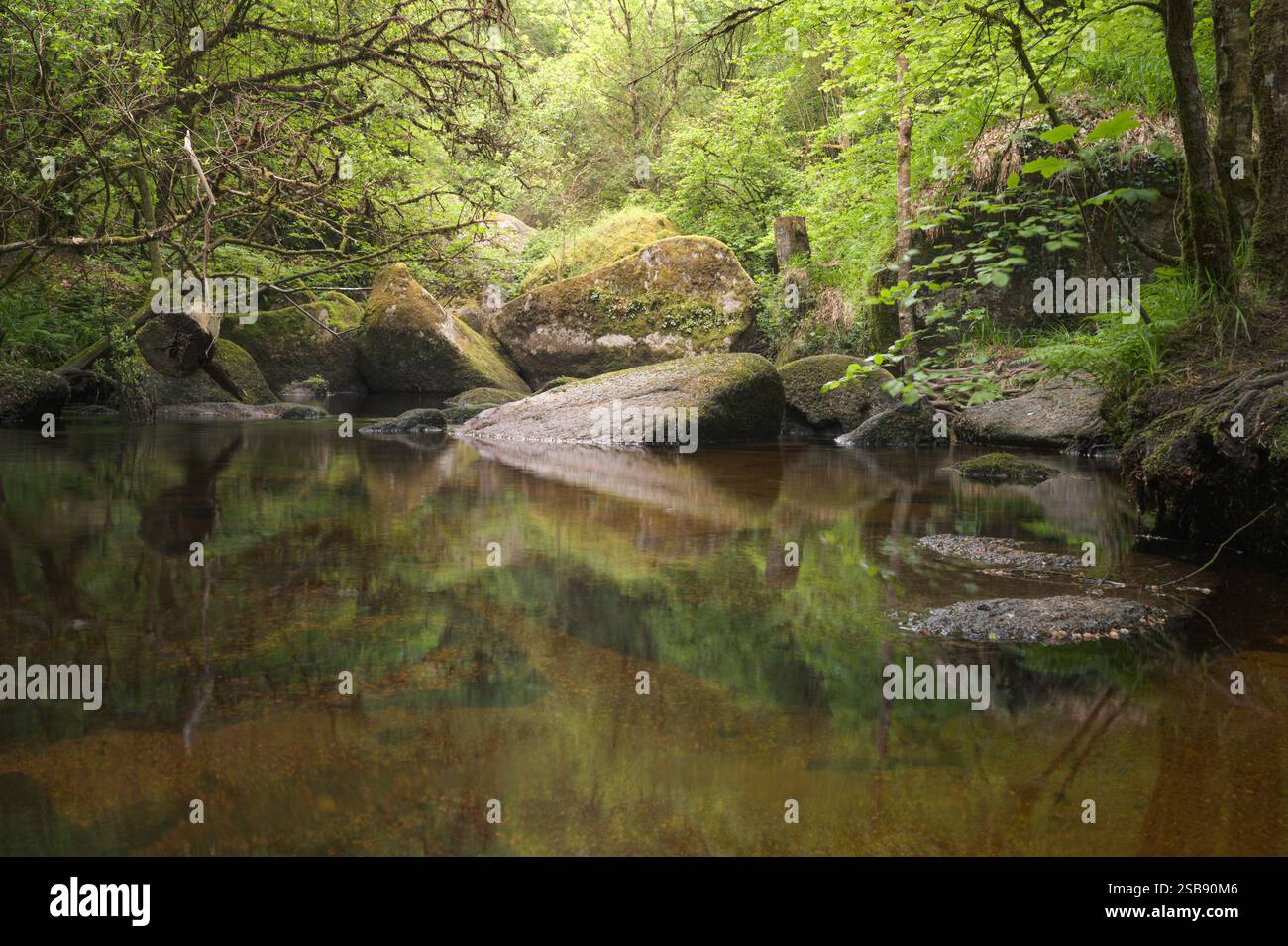 Photography of ancient forest in Brittany-rocks-moss-trees and river ...