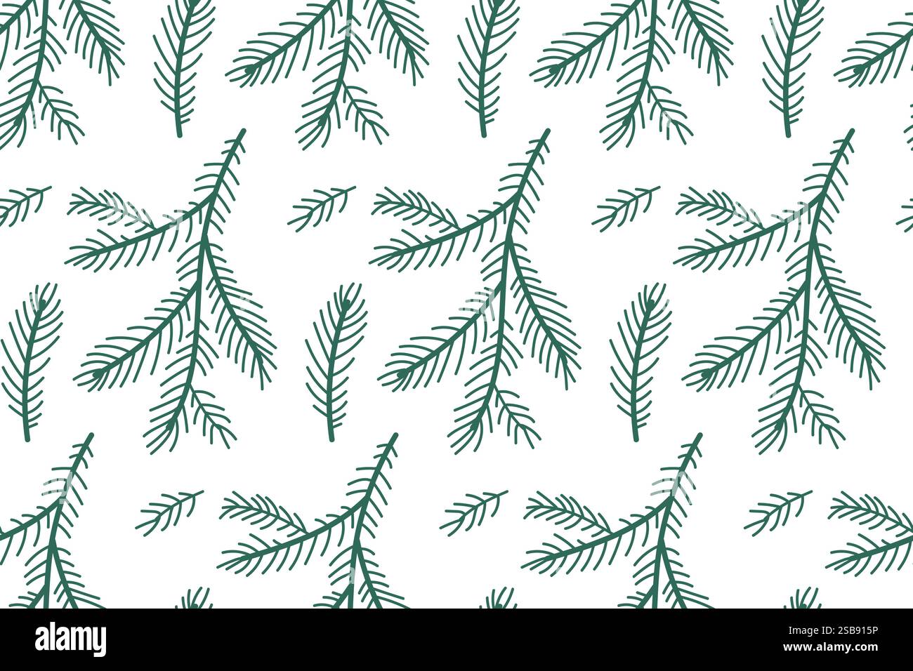Pattern of evergreen branches on a white background, perfect for ...