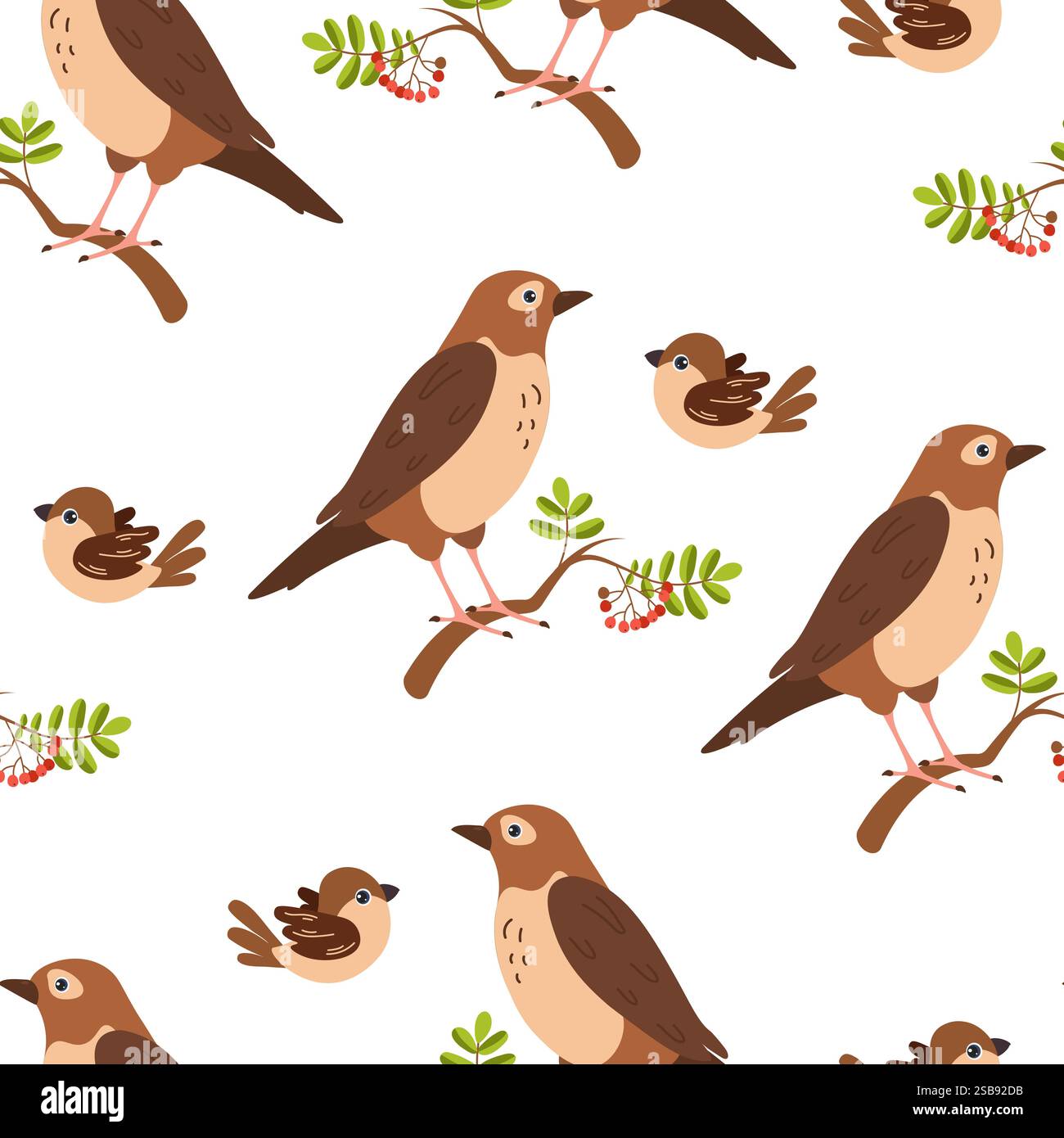 Featuring detailed patterns hi-res stock photography and images - Alamy