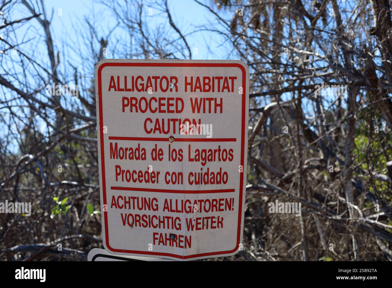 Alligator habitat proceed with caution sign with multiple languages ...