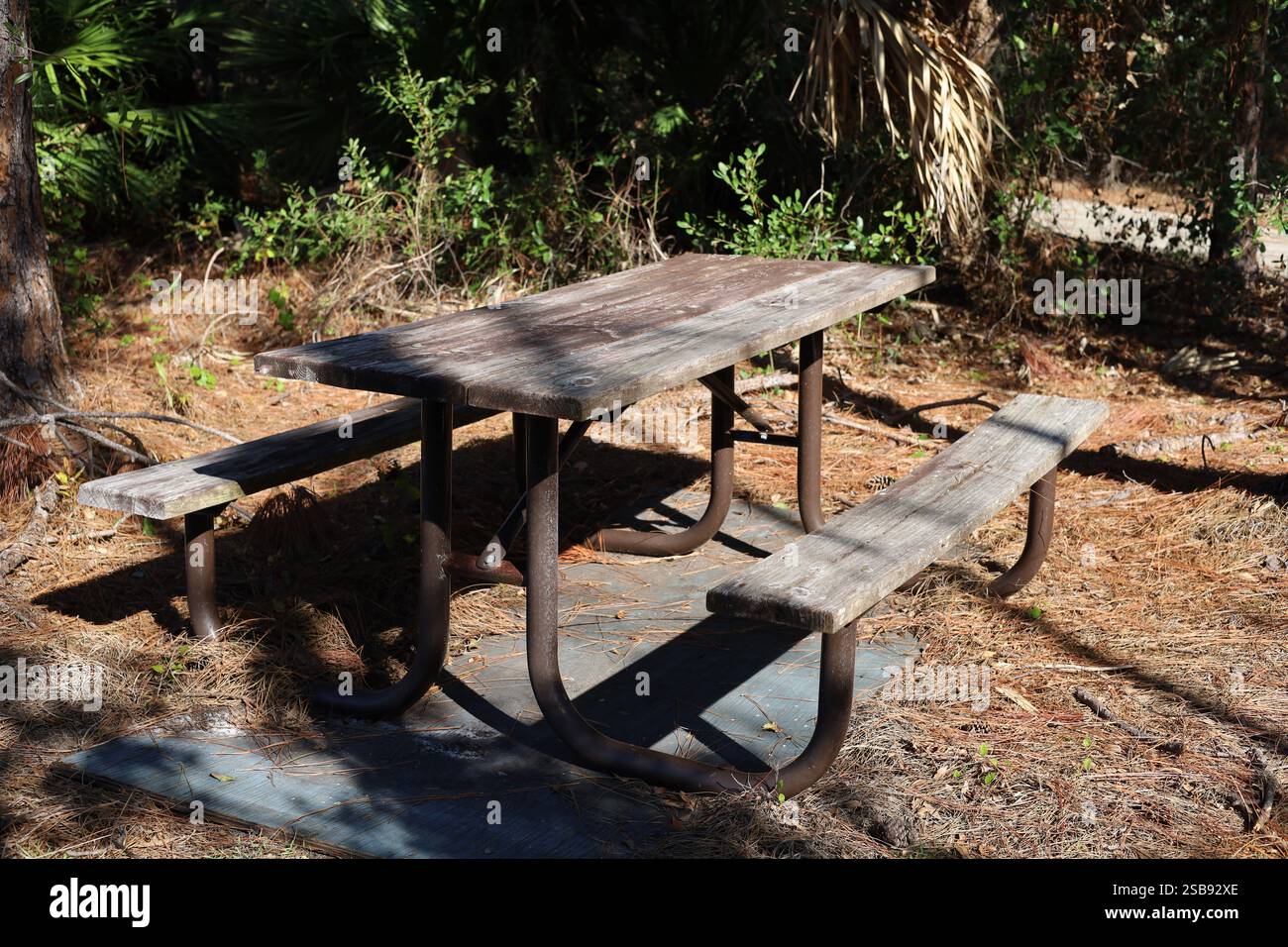 Old wood and metal picnic table in tropical park Stock Photo - Alamy