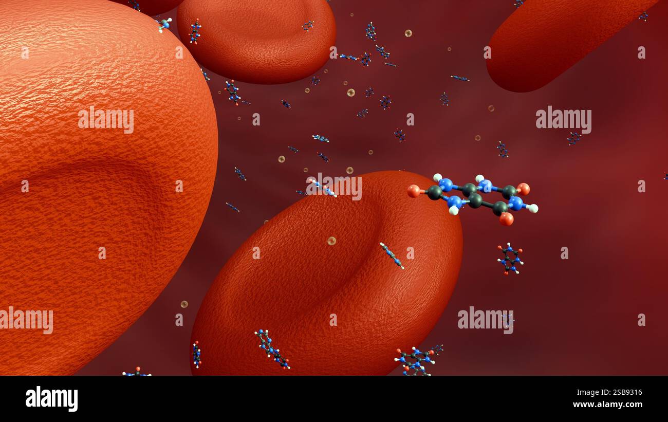 3D rendering of uric acid molecules and red blood cells. Hyperuricemia occurs when there is too ...