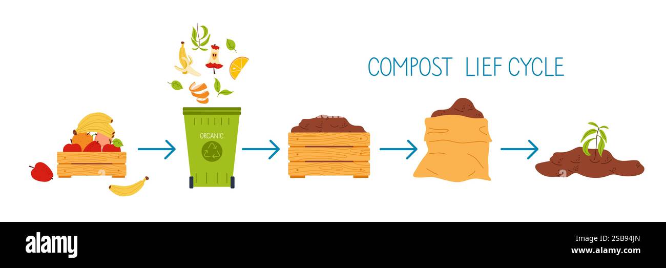 Understanding the compost life cycle from organic waste to fertile soil ...