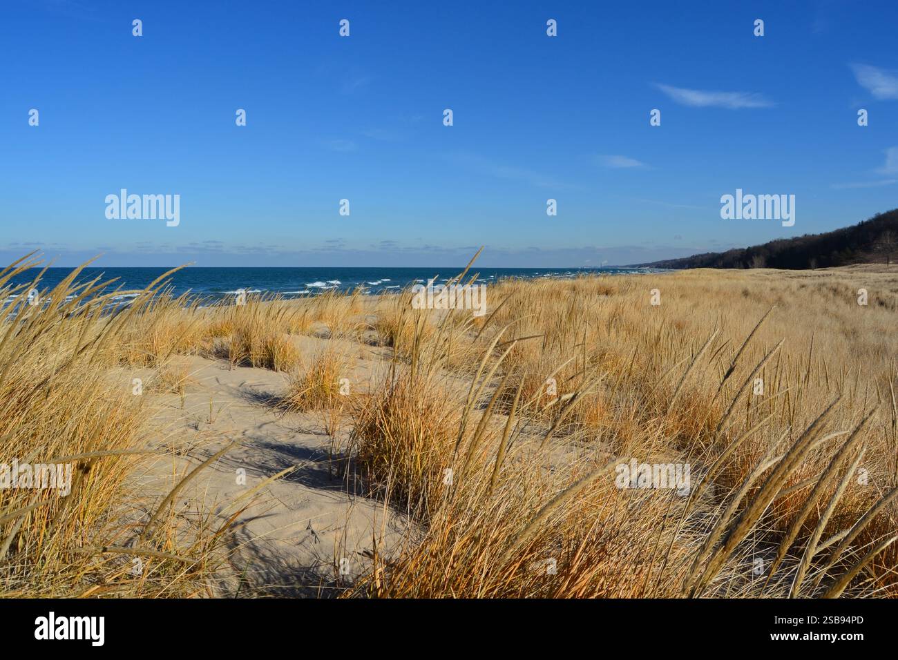 Scenic view sand dunes grassy hi-res stock photography and images - Alamy