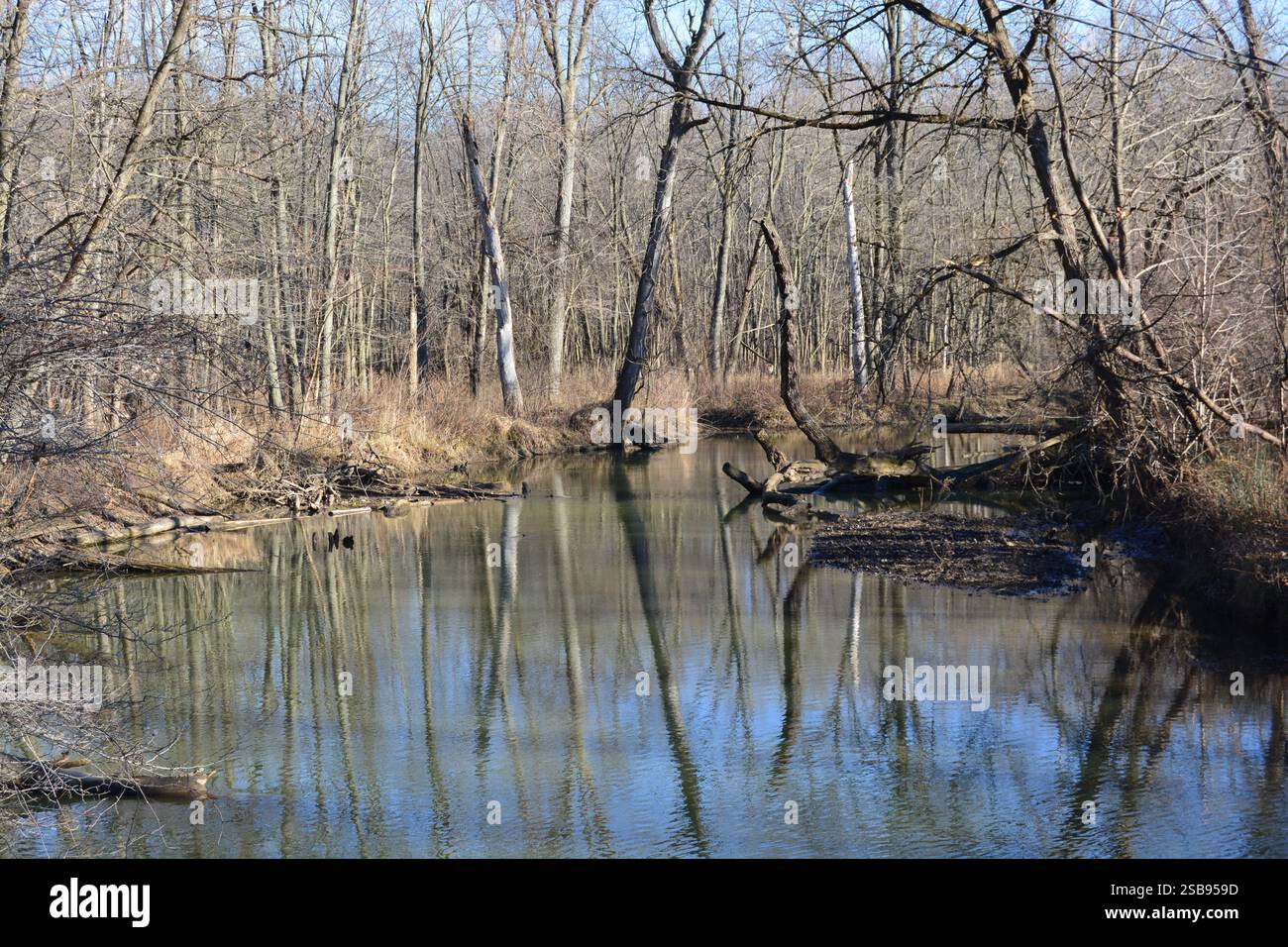 River in Indiana Dunes National Park 14 Stock Photo - Alamy