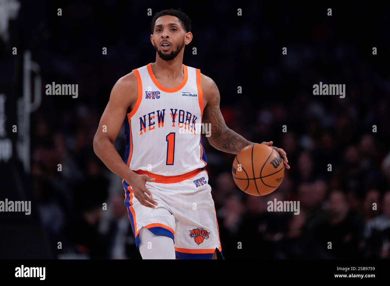 New York Knicks' Cameron Payne (1) looks to pass during the first half ...