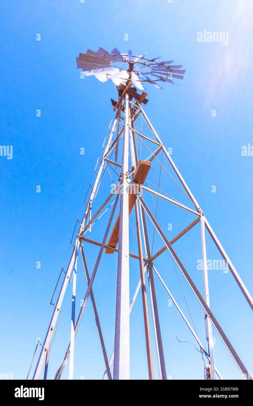 A windmill is tall and has a ladder on it. The sky is blue and clear. The windmill is in the ...