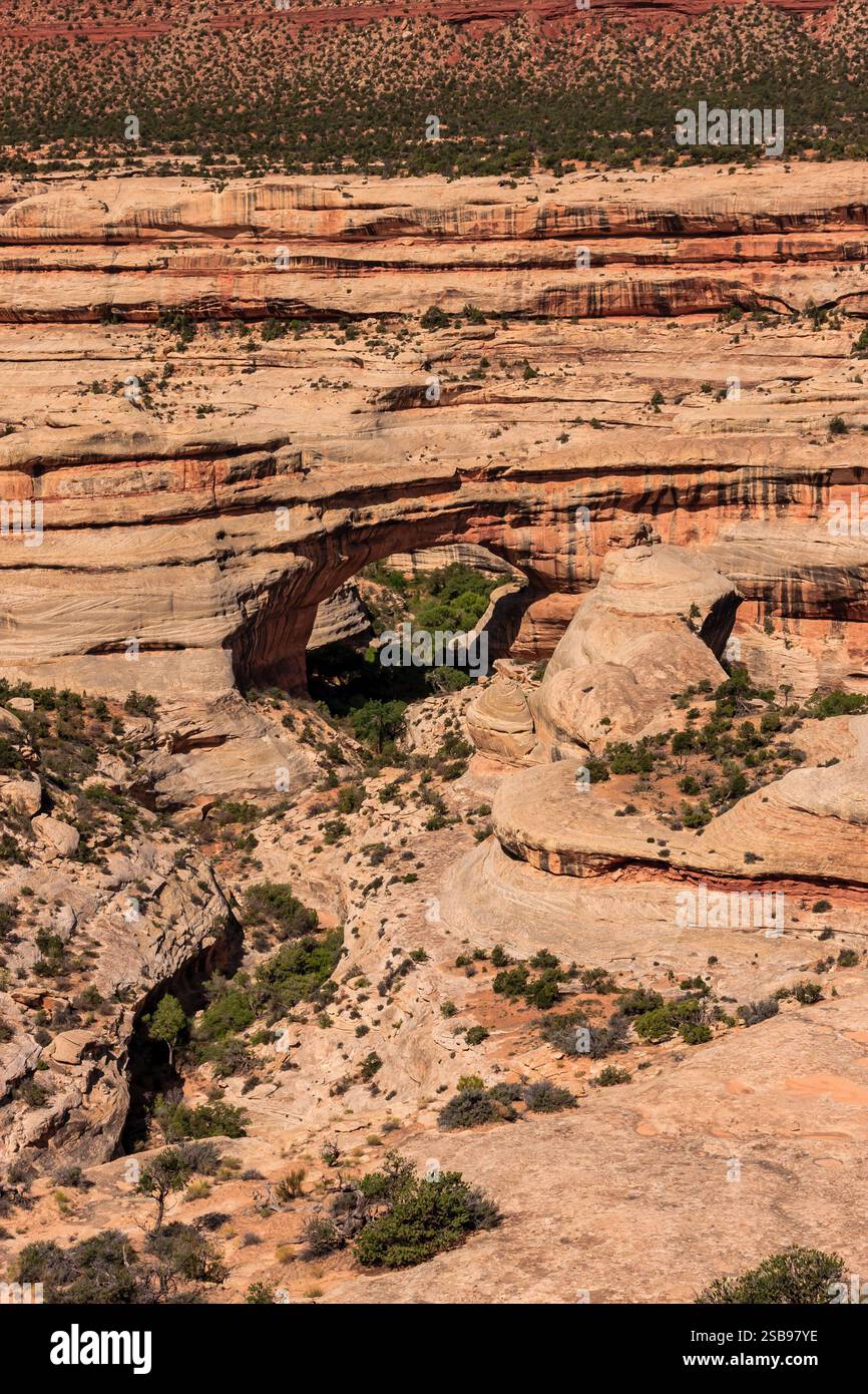 Natural Bridges National Monument is a U.S. National Monument located ...