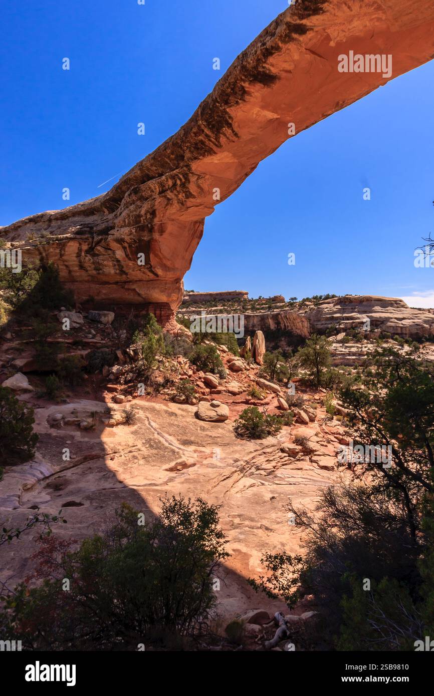 Natural Bridges National Monument is a U.S. National Monument located ...