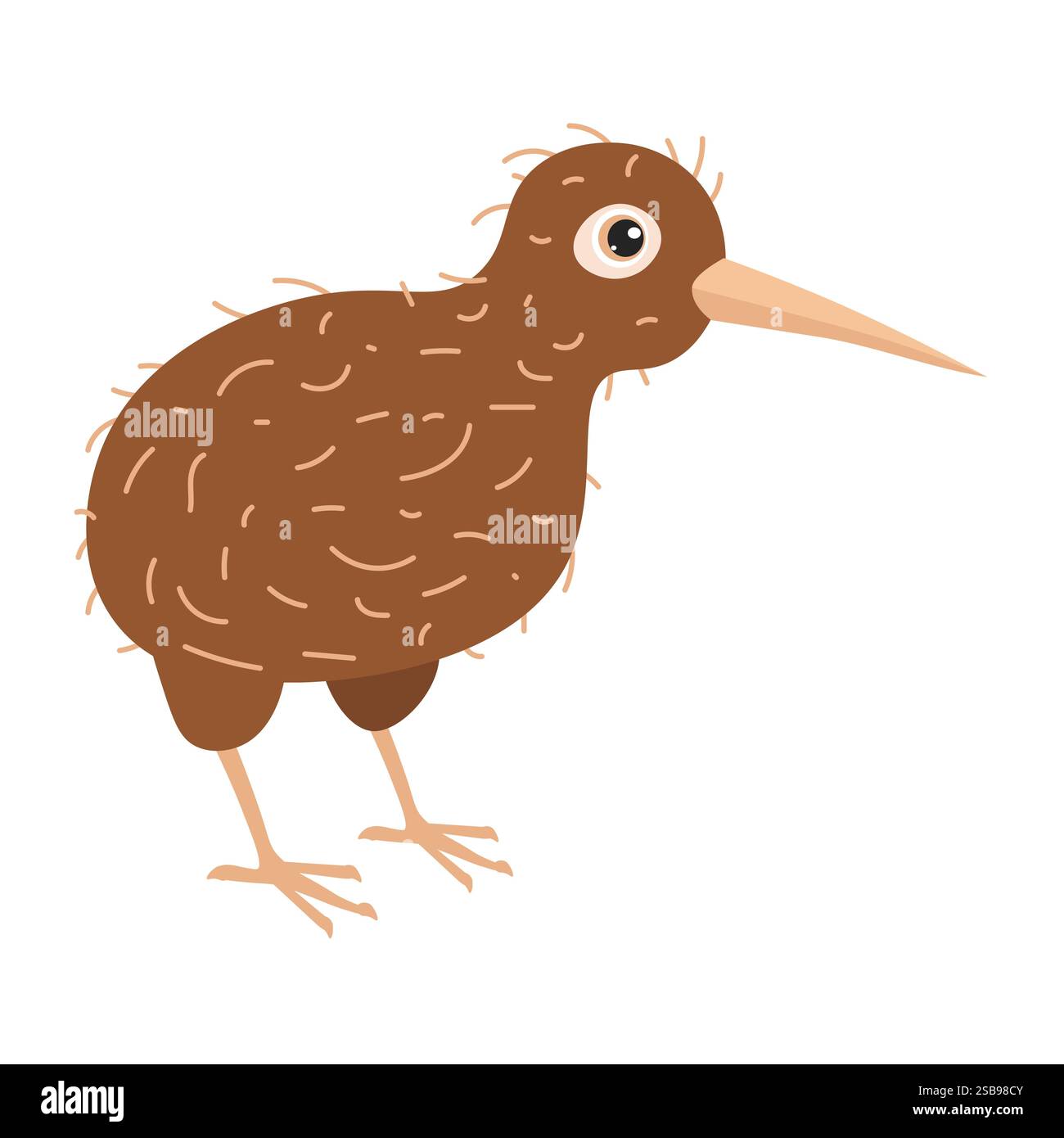 Unique kiwi bird illustration showing distinctive features and playful ...