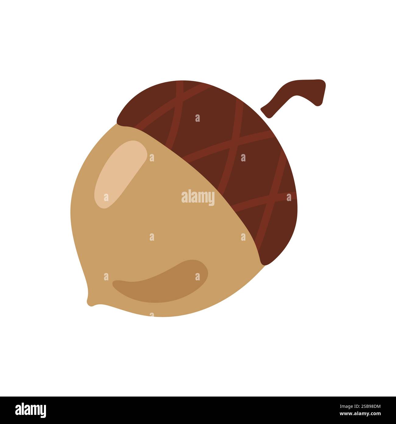 Organic nut decor Cut Out Stock Images & Pictures - Alamy